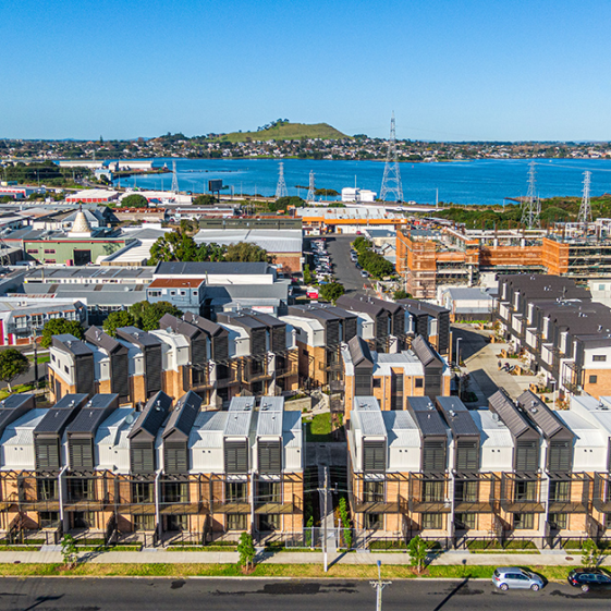 Onehunga Bay - Creative Arch