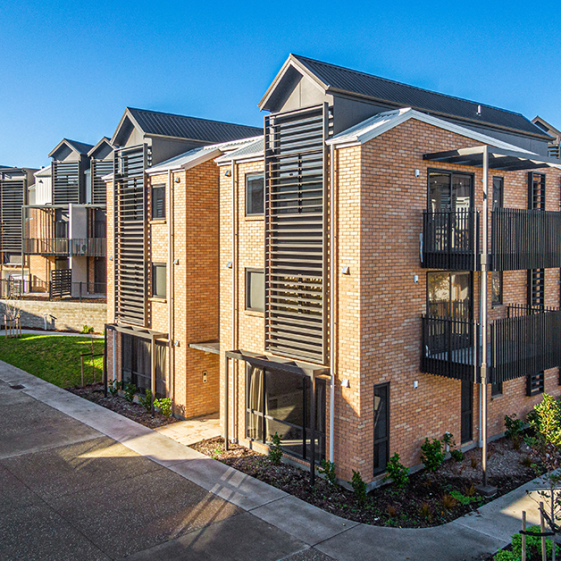 Onehunga Bay - Creative Arch